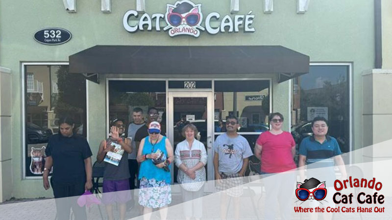 BBM and Orlando Cat Café Offers Unique Experience